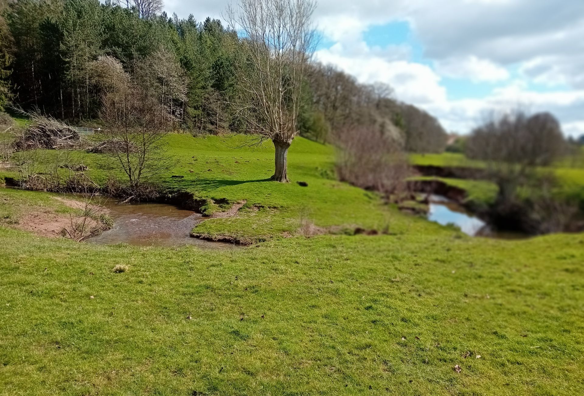 Bringsty Common and Whitbourne - Ramblers